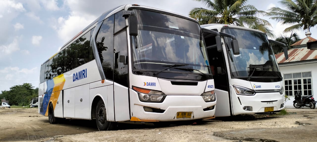 DAMRI Resmi Luncurkan Layanan Big Bus Trayek Kendari-Baubau ...